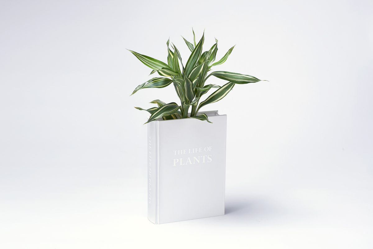 Book-Shaped Flower Pot - mmminimal