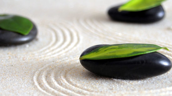 What are the Key Elements of a Japanese Zen Garden Design? - mmminimal
