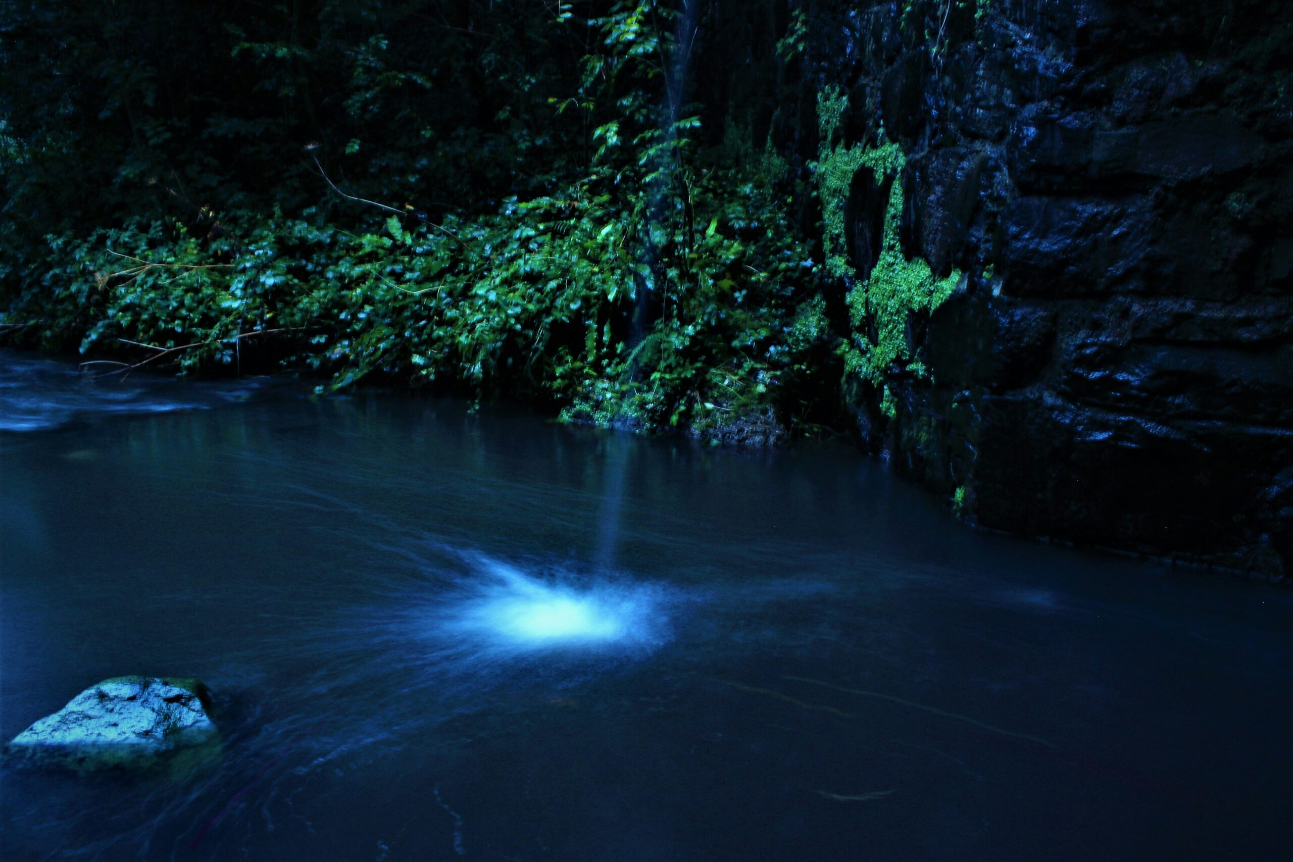 Florida's Glow-Up: Kayaking Through Electric Blue Water - mmminimal