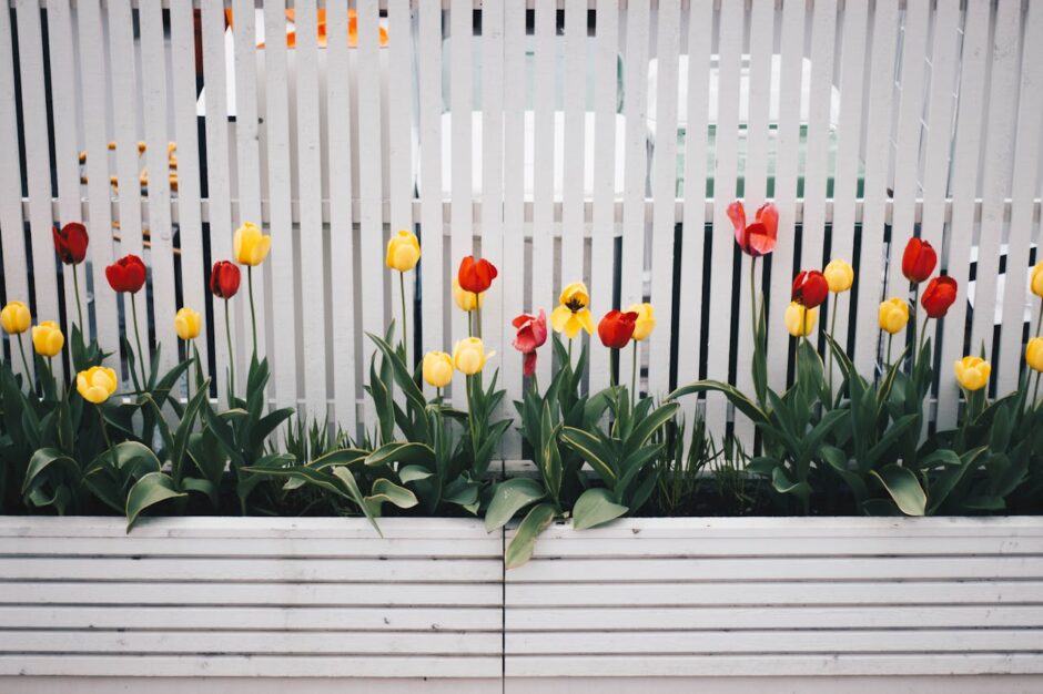 Transform Your Outdoor Space With Stylish, Long‑Lasting Fencing - mmminimal